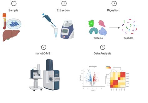 Mass Spectrometry Proteomics Core Research Facilities