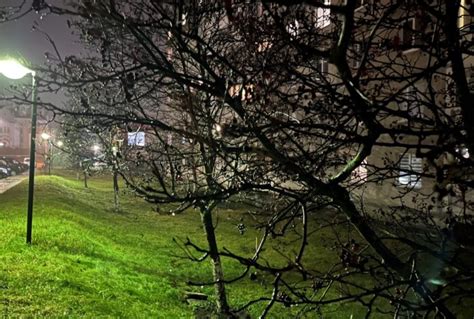 Левів чекають різкі повороти Долі а Скорпіони отримаєте цінні подарунки Всесвіту Достовірний