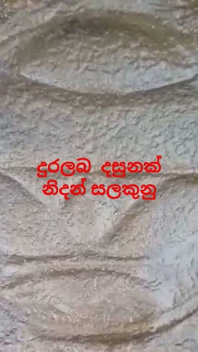 නිදන් සලකුනු Dawasakaayeapihamuwela Abelbirhanuየወይኗልጅ Military Astrology Youtube