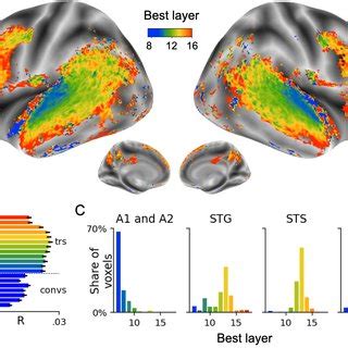 PDF Toward A Realistic Model Of Speech Processing In The Brain With Self Supervised Learning