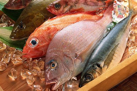 Как выбрать замороженную рыбу Річка Море