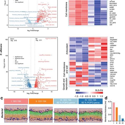 Rna‐sequencing Analysis And All‐atom Simulation A Degs Volcano Plots Download Scientific