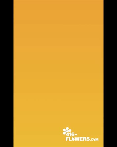 Mohammad Masoumi On Linkedin Happy Diwali To All My Indian Friends