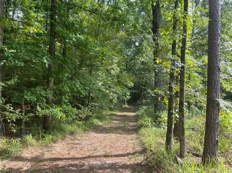 1853 Acres In Red Hill Tx 75560
