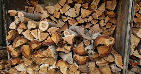 Gunbower Island State Forest Closed For Spring Firewood Collection Due