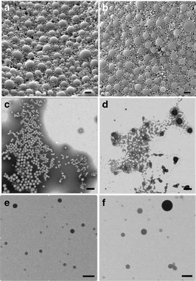 Electron Micrographs Obtained From The Analysis Of The Dispersion A