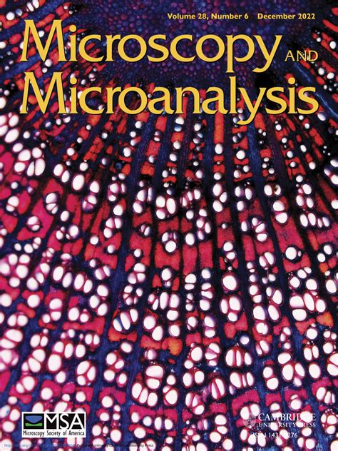 Pdf Cover Image Microscopy And Microanalysis Volume 28 Issue 6 Dec2022
