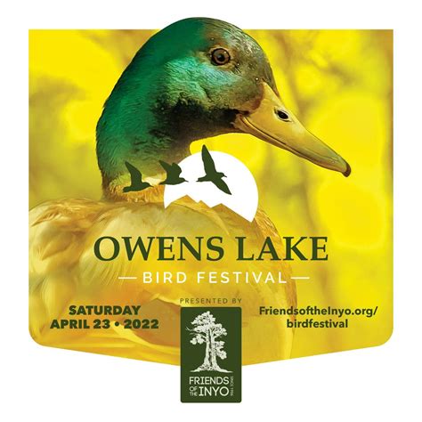 Friends Of The Inyos 2022 Owens Lake Bird Festival