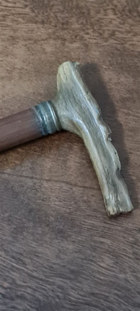 Proantic Cane Umbrella Umbrella Of Woman Dandy Xix Eme Pommel Horn Gr