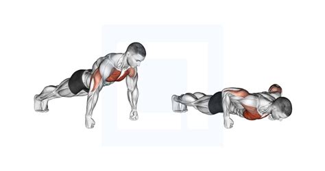 Resistance Band Push Up Guide Benefits And Form