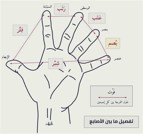 مصطلحات عامّة On Twitter المسافات التي يُقاس بها باليد والأصابع 🖐