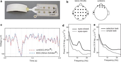 Comparison Of Physical Characteristics And Scalp Localizations Of Download Scientific Diagram