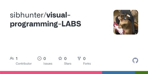 GitHub Sibhunter Visual Programming LABS