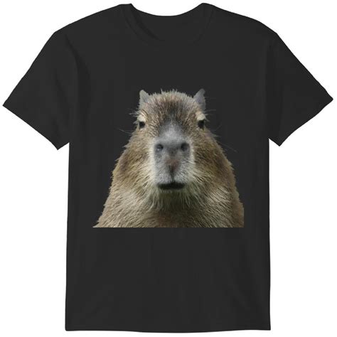 Capybara Capybaras T Shirts Capybara T Shirts Capybara Sweater
