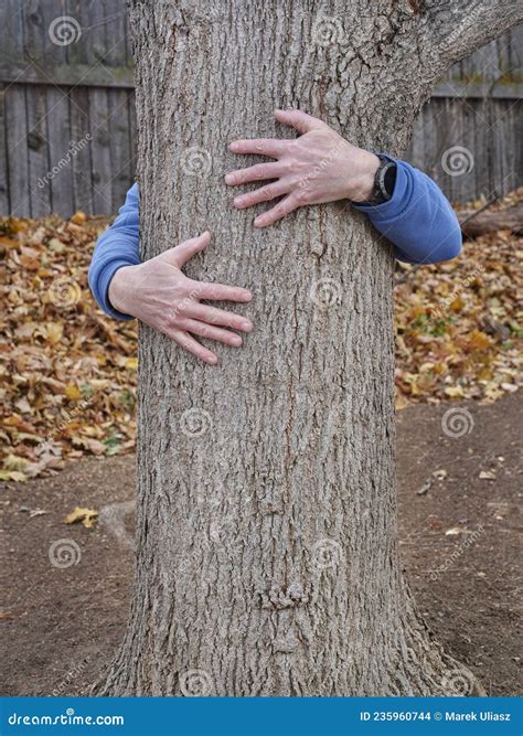 Man Hugging A Tree In A Backyard Stock Photo Image Of Environment Ecology