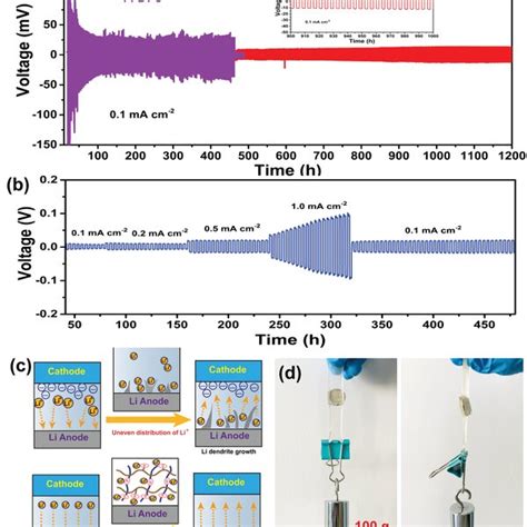 Electrochemical Performance Of Symmetric Lili Cells With Db‐shpe‐5 A