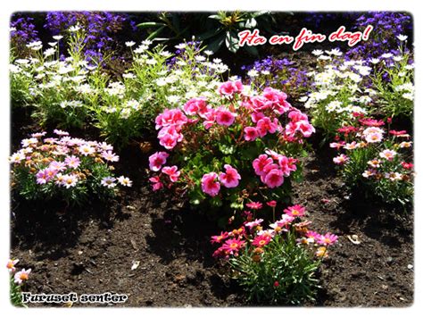 Kurt Evert Stenbakks Hjemmeside Furuset Oslo