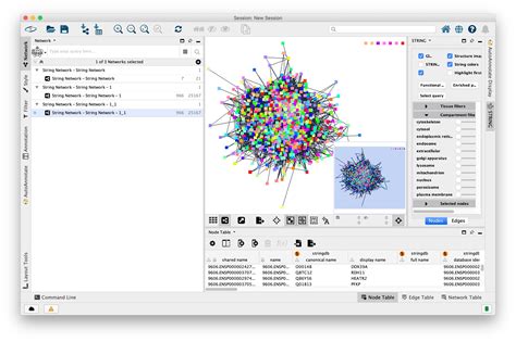 Bioinformatics Cytoscape Vs String For Long List Of Proteins Stack