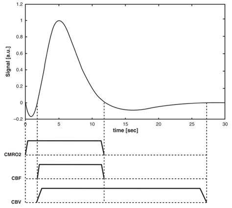 3 A Typical Haemodynamic Response Function Explained With Underlying Download Scientific