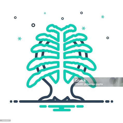 Cedar Leaf Stock Illustration Download Image Now American