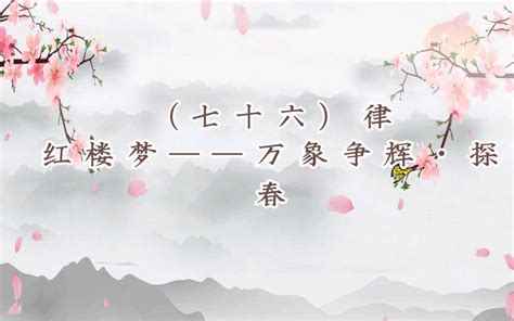 红楼梦之诗词歌赋 第十八回 旷性怡情·迎春、万象争辉·探春、文章造化· 哔哩哔哩