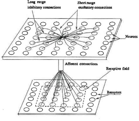 Figure 2 From A General Hebbian Learning For Nonlinear Neuron With
