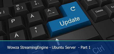 Wowza Streaming Engine Java Openjdk Maca S Blog