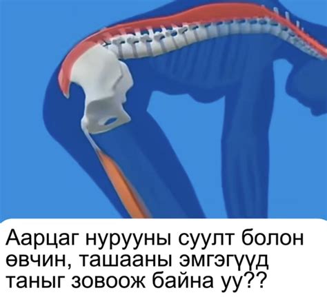 Маралгоо ⁉️ Хөл яагаад урт богино болдог вэ Аарцагны гажилт гэж юу вэ ☝️Хөл урт богино