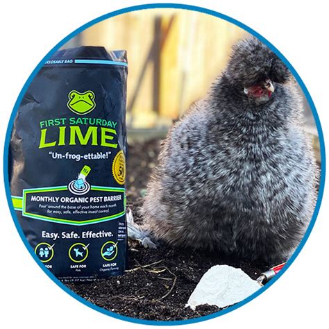 Using Lime And De 101 Everything You Need To Know To Be Safe