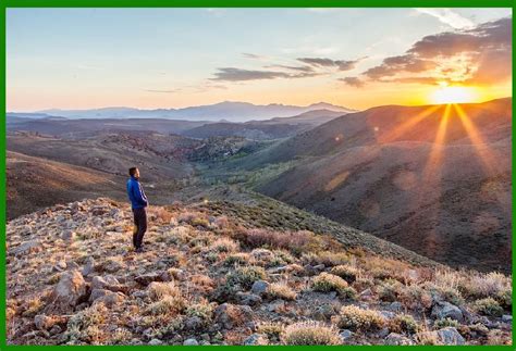 The History Of MaxiCode Used By United Parcel Service