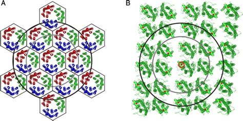 Arrangement Of A Bacteriorhodopsin In Purple Membrane Pdb Id 1c3w Download Scientific