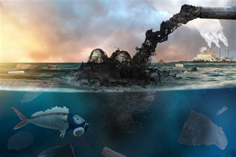 17 Easy Ways For Prevention Of Soil Pollution Green Coast