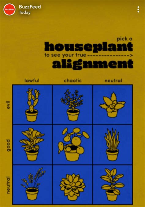 This Buzzfeed Alignment Chart That Is Arranged Entirely Incorrectly R Mildlyinfuriating
