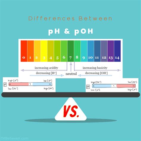 Ph Vs Poh Differences Understanding Acidity And Alkalinity