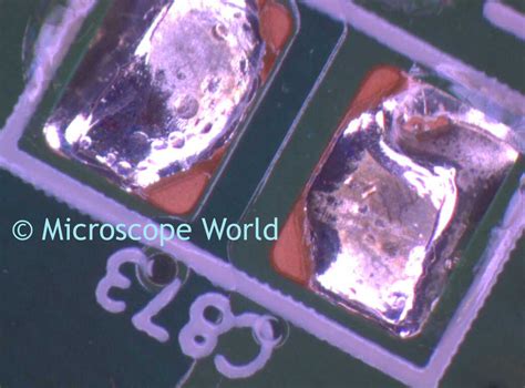 Microscope World Blog Using Polarizing Filters To Reduce Glare