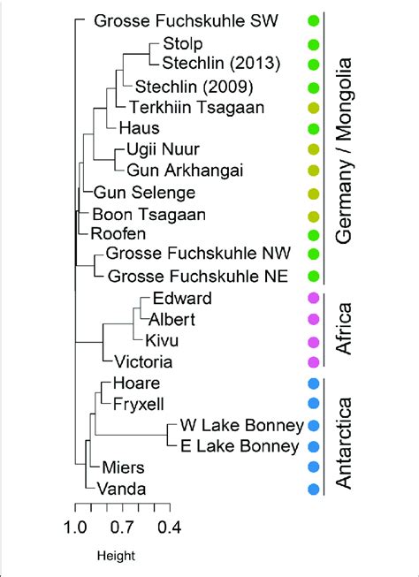 hierarchical clustering based on otu relative abundance clustering