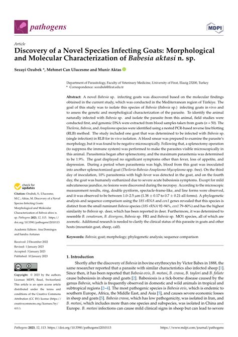 Pdf Discovery Of A Novel Species Infecting Goats Morphological And Molecular Characterization