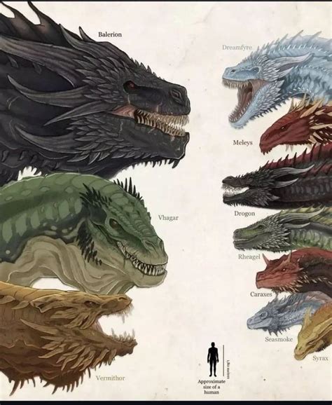 House Of The Dragon O Tamanho Dos Dragões No Mundo De Game Of Thrones