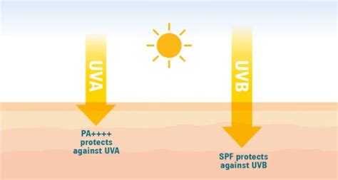 Spf Vs Spf Which Sunscreen Is Right For You