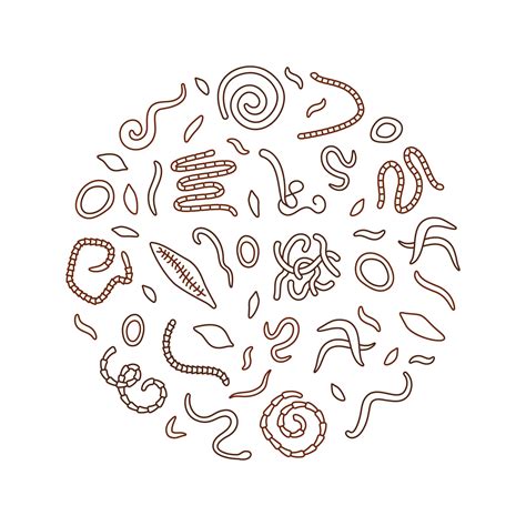 What Are Threadworms Welzo