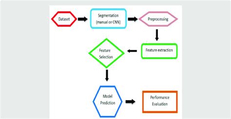 Graphic Depiction Of The Radiomics Workflow Download Scientific Diagram