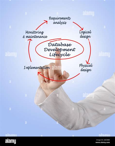 Database Development Lifecycle Stock Photo Alamy