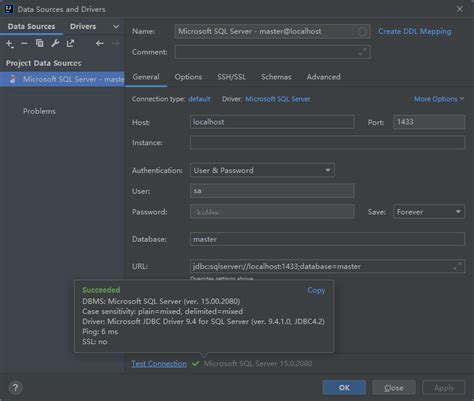 Java Idea Jdbc Sql Server Hibiki Shu