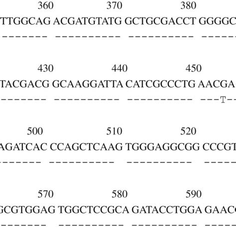 Alignment Of The Exon Sequence Of B With The Sequence Of