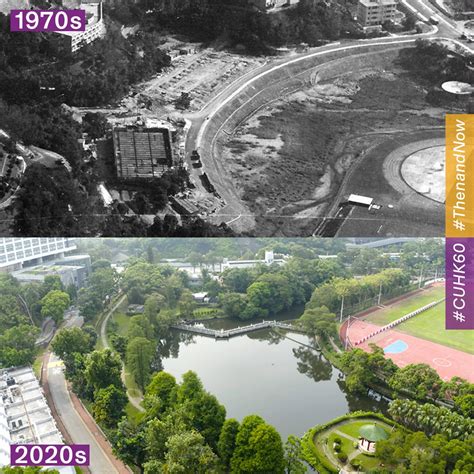 Cuhk 【中大今昔 未圓湖】 位於崇基學院的未圓湖，是中大人以至遊人的打卡熱點。每當落羽松轉紅時，吸引無數欣賞目光。 Instagram