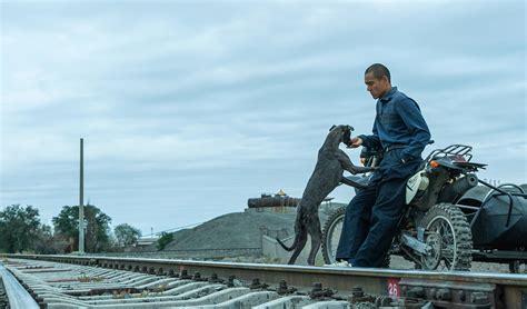 Review Black Dog The Solitude Of A Black Dog And A Desolate Chinese