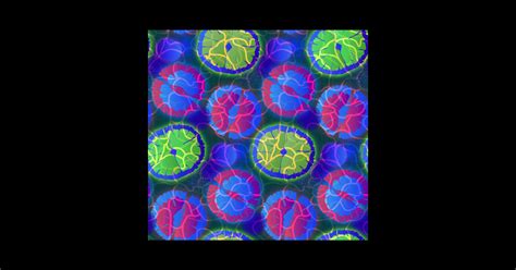 Algae Algae Sticker Teepublic