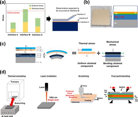 Surface Coating Ansys At Darlene Huth Blog