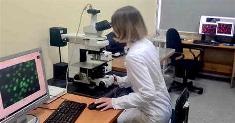 Коллагеновый гель позволил восстановить поврежденные нервы | CoLab