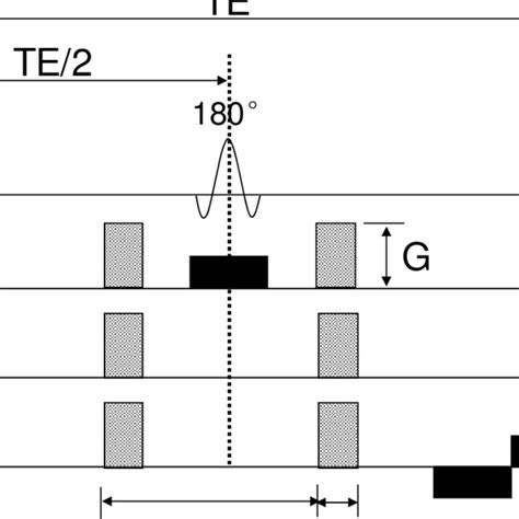 Figure 1 2 Skejskal Tanner Spin Echo Diffusion Imaging Sequence
